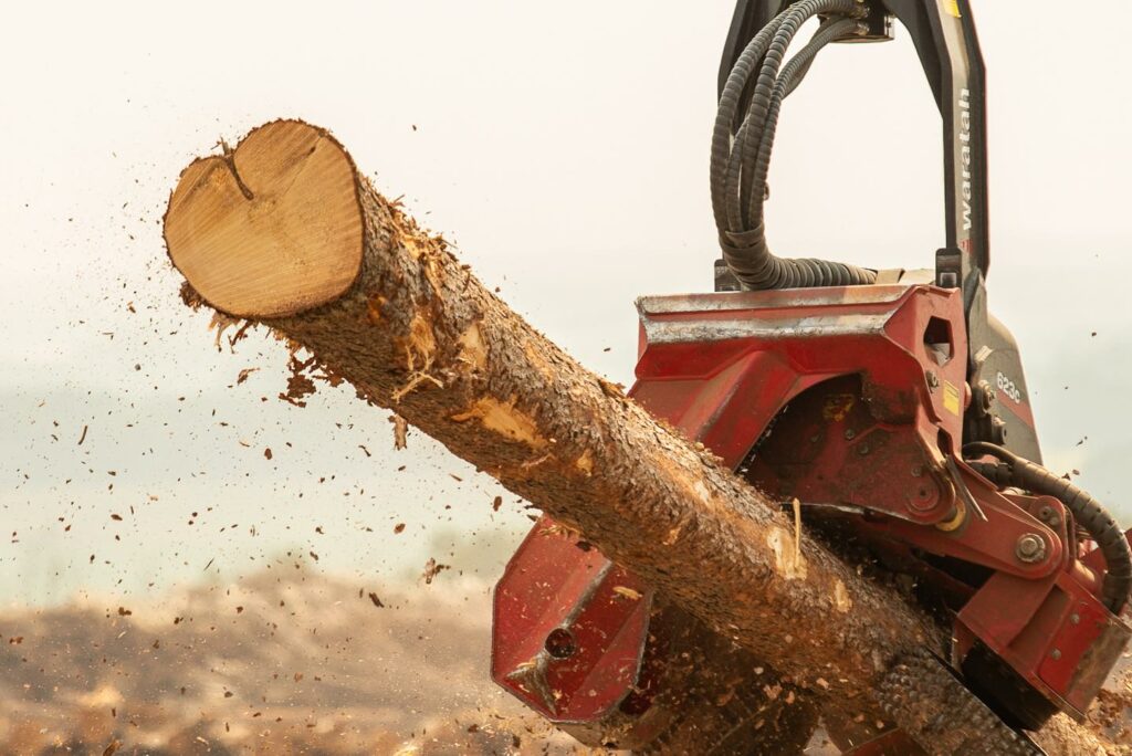 Services - Northern Timber Management