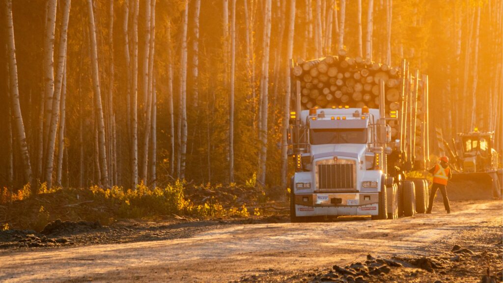 Services - Northern Timber Management