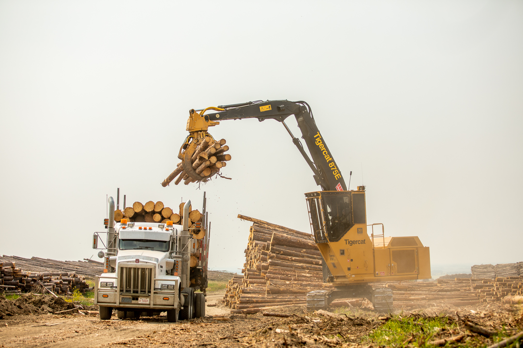 Gallery - Northern Timber Management