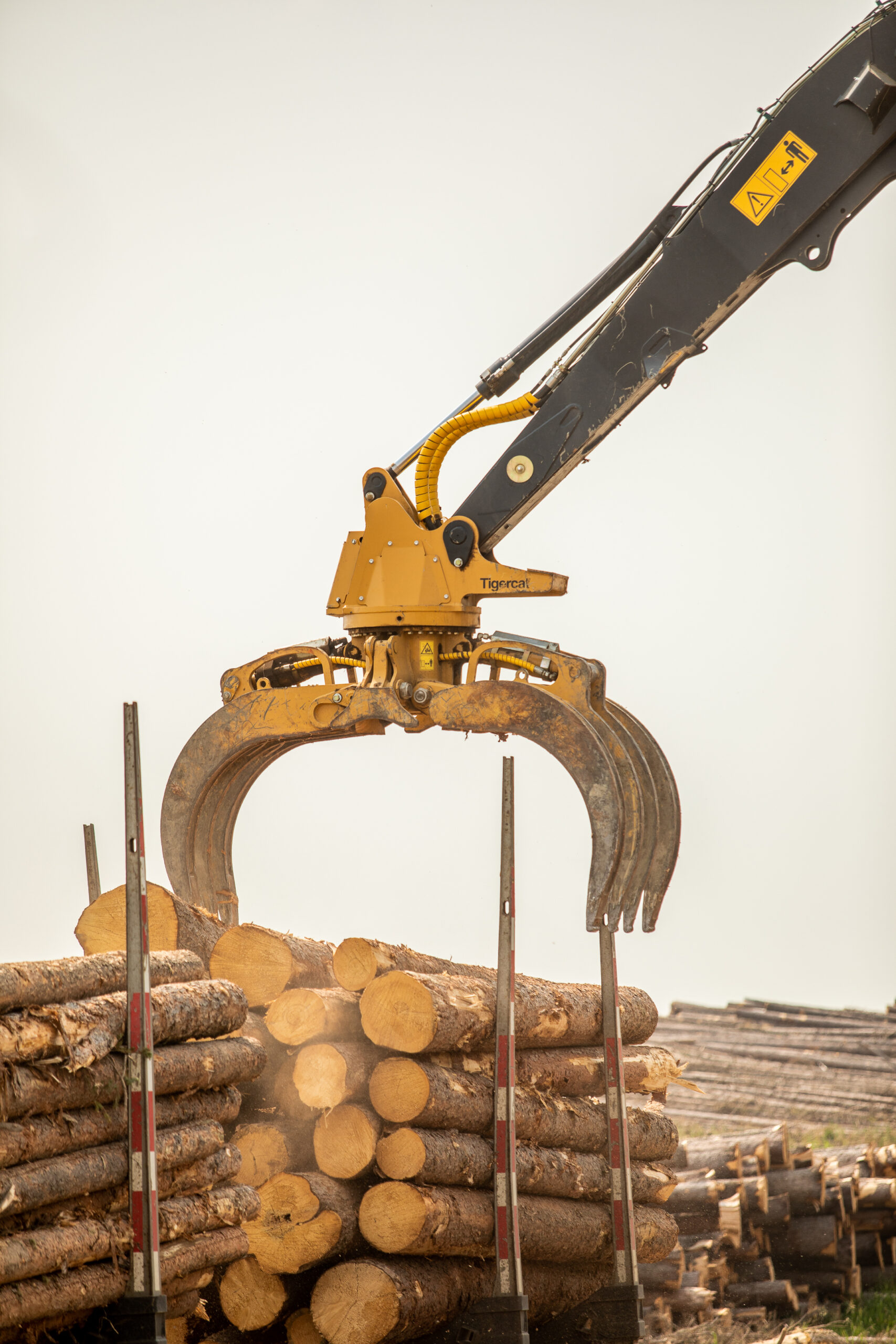 Gallery - Northern Timber Management