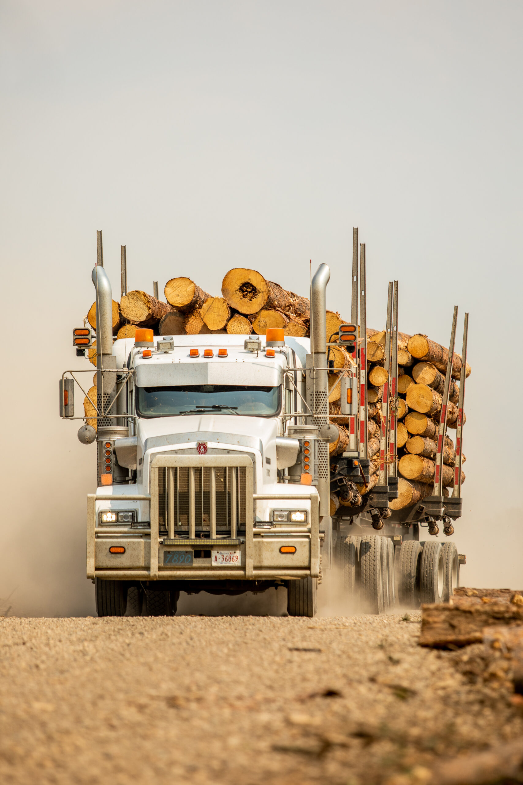 Gallery - Northern Timber Management