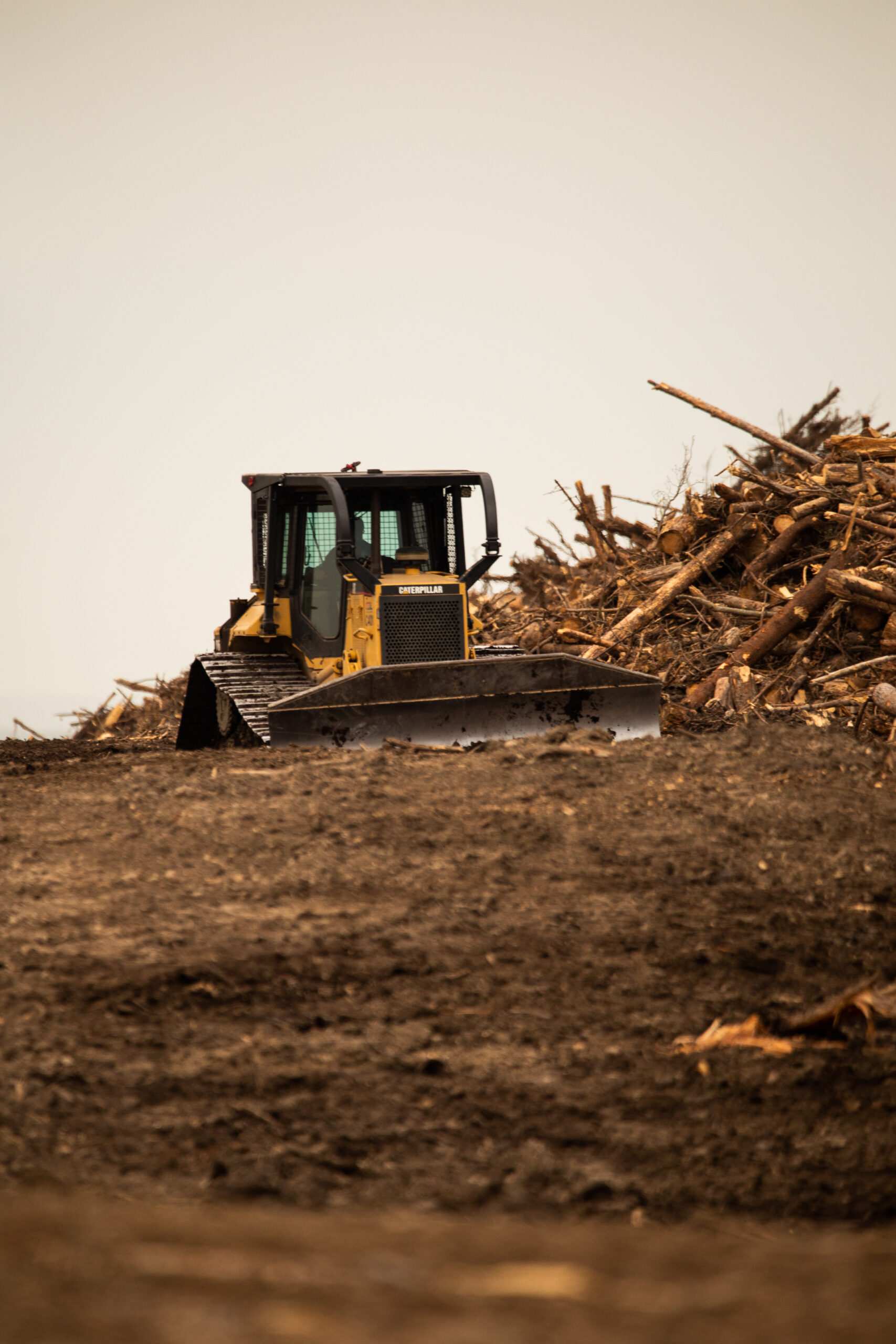 Gallery - Northern Timber Management