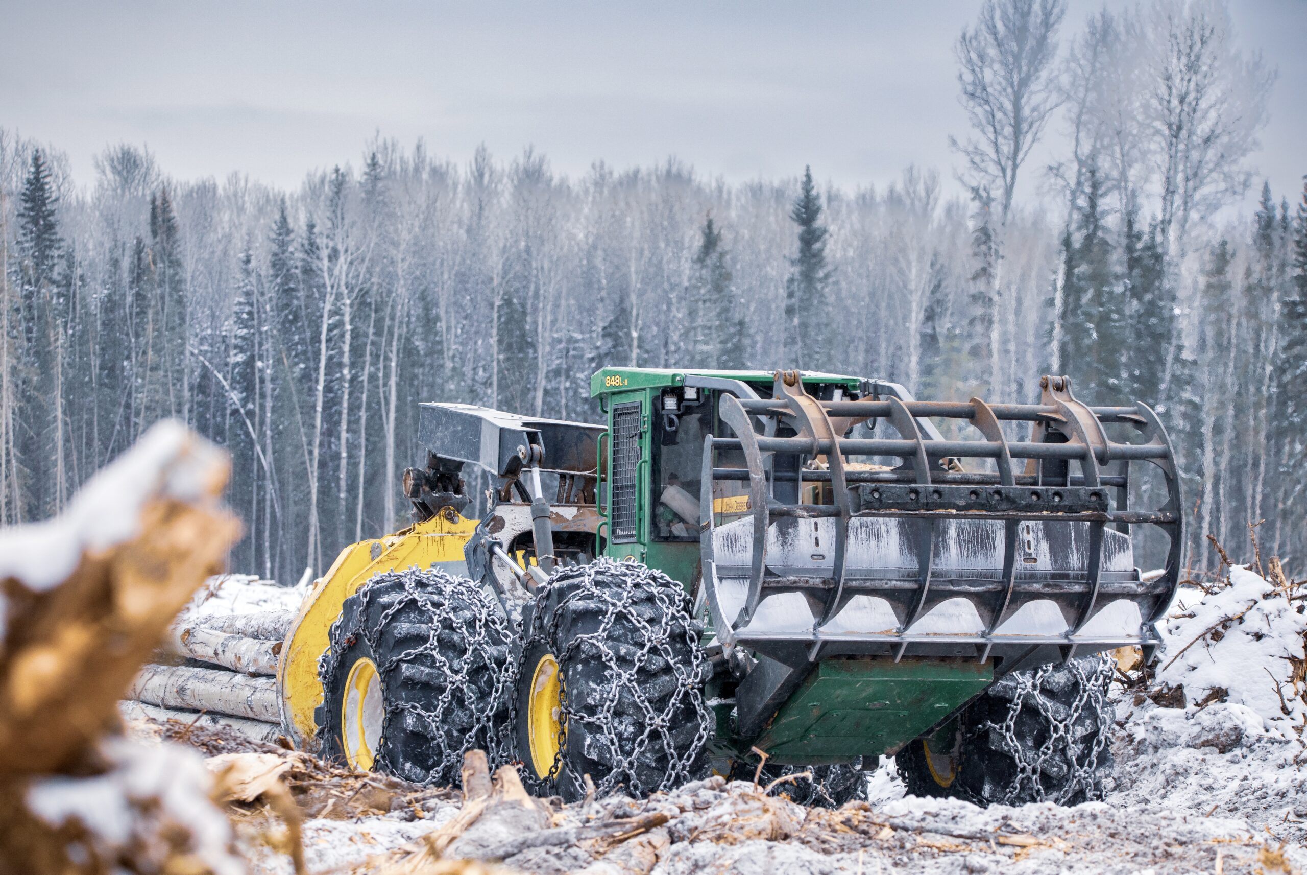 Gallery - Northern Timber Management