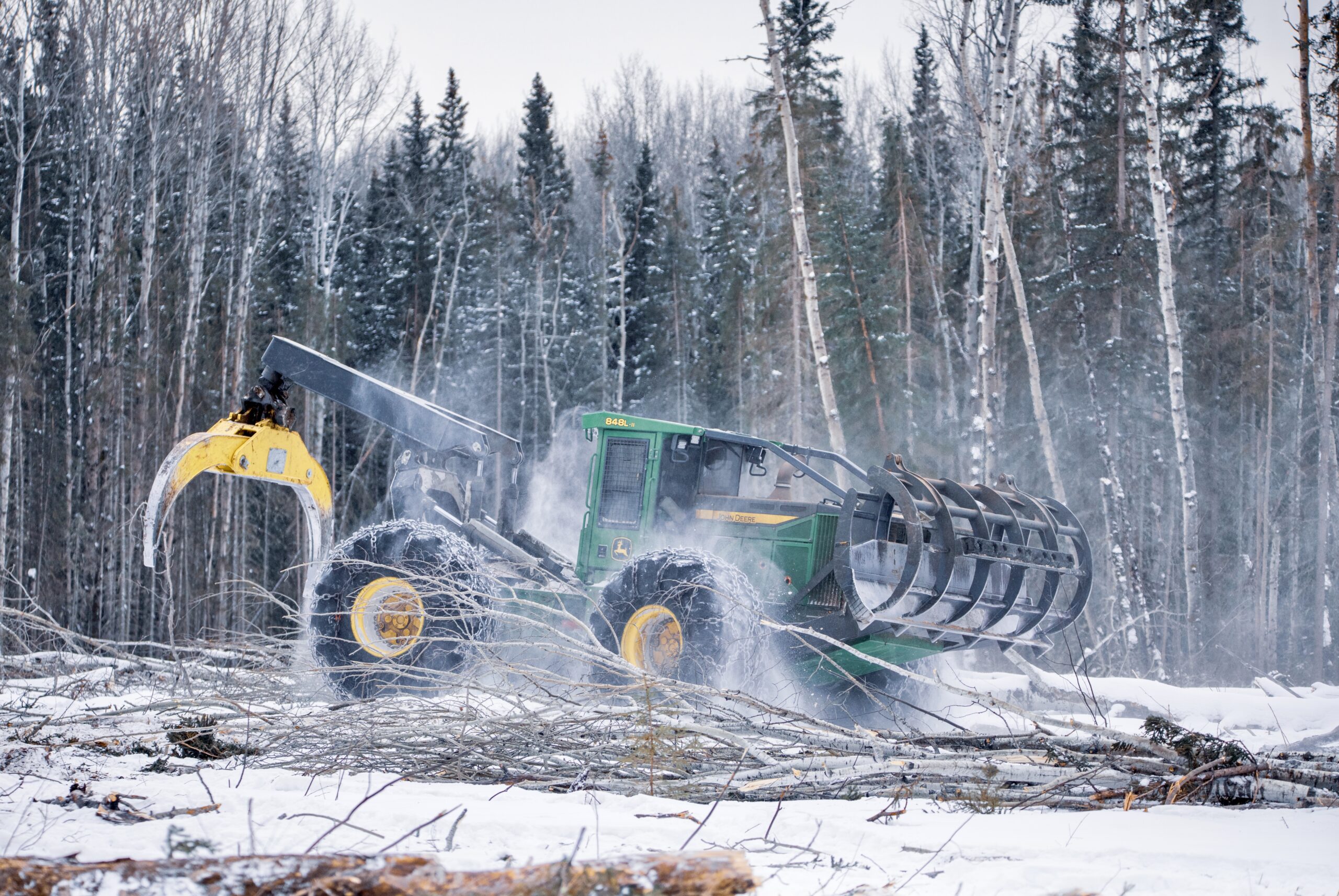 Gallery - Northern Timber Management