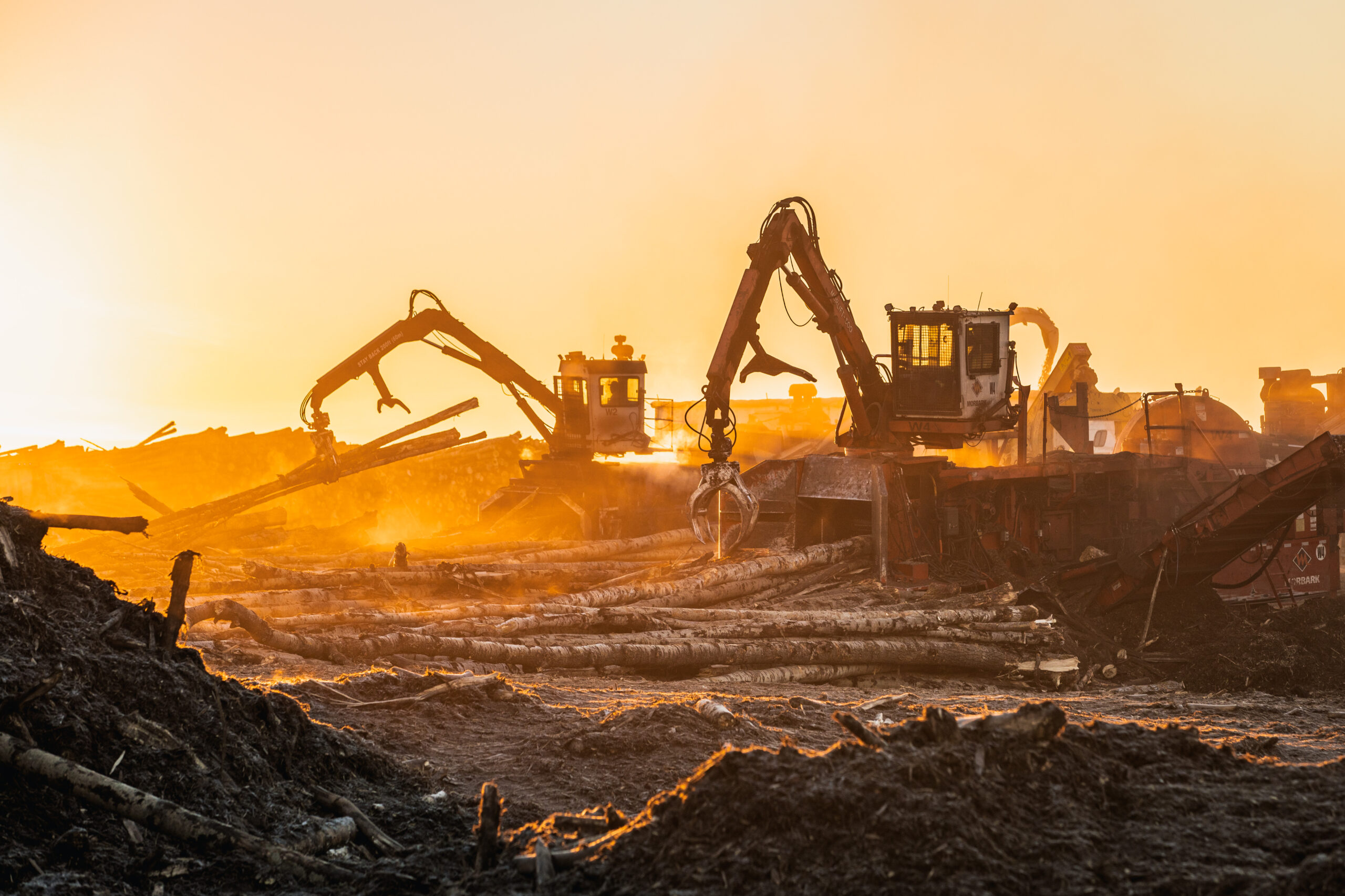 Gallery - Northern Timber Management