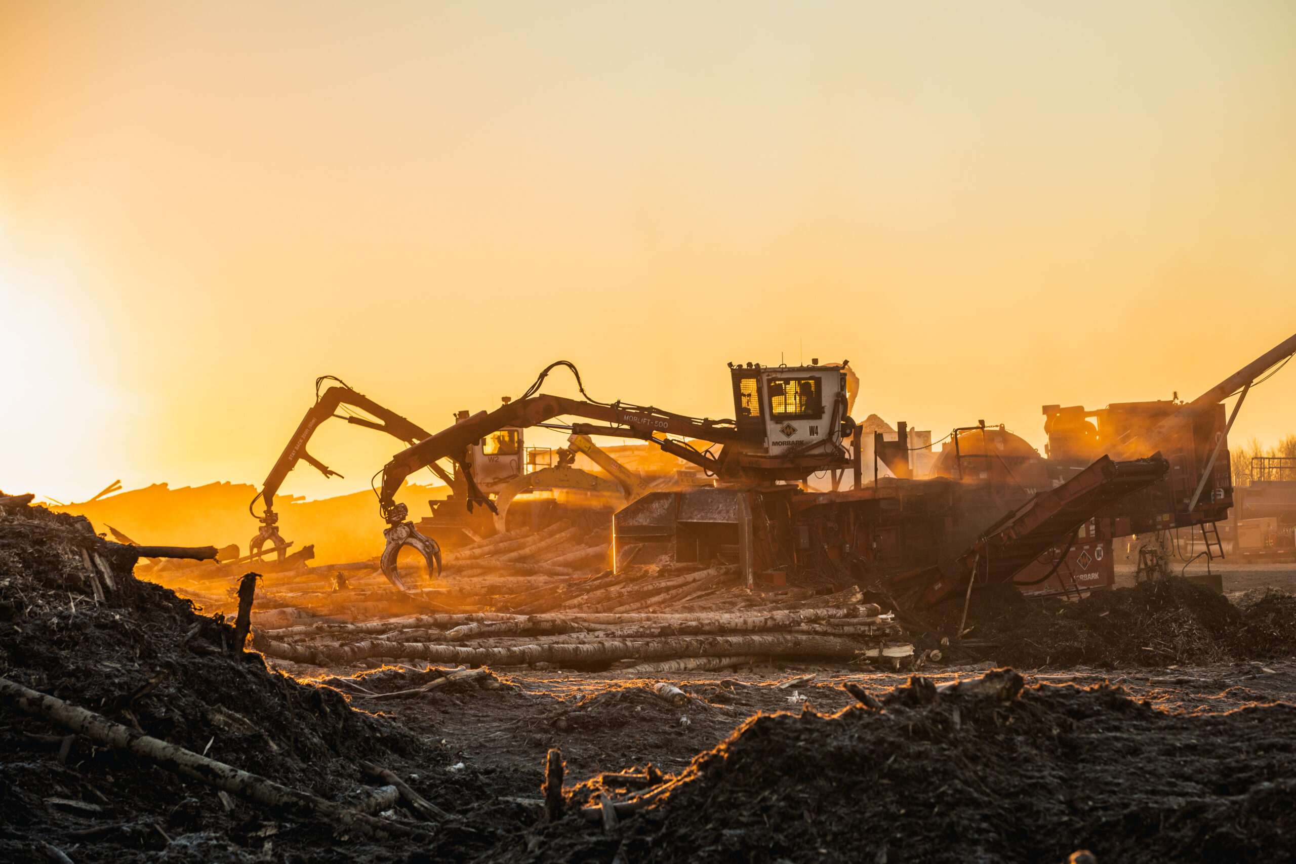 Gallery - Northern Timber Management