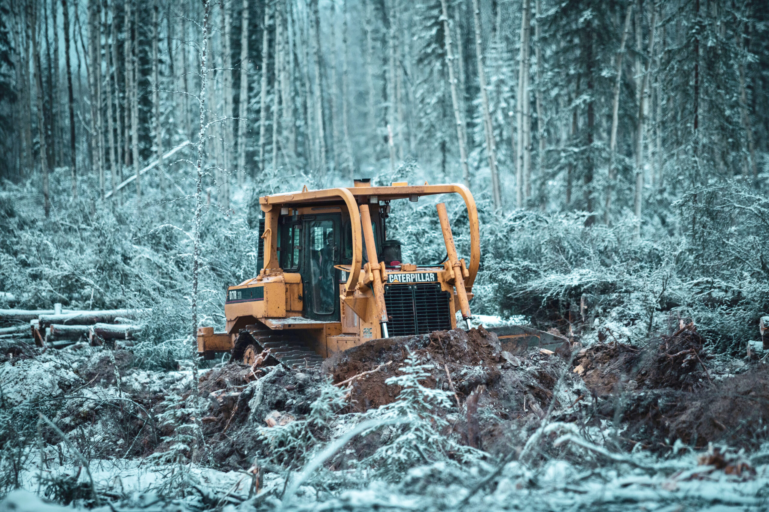 Gallery - Northern Timber Management