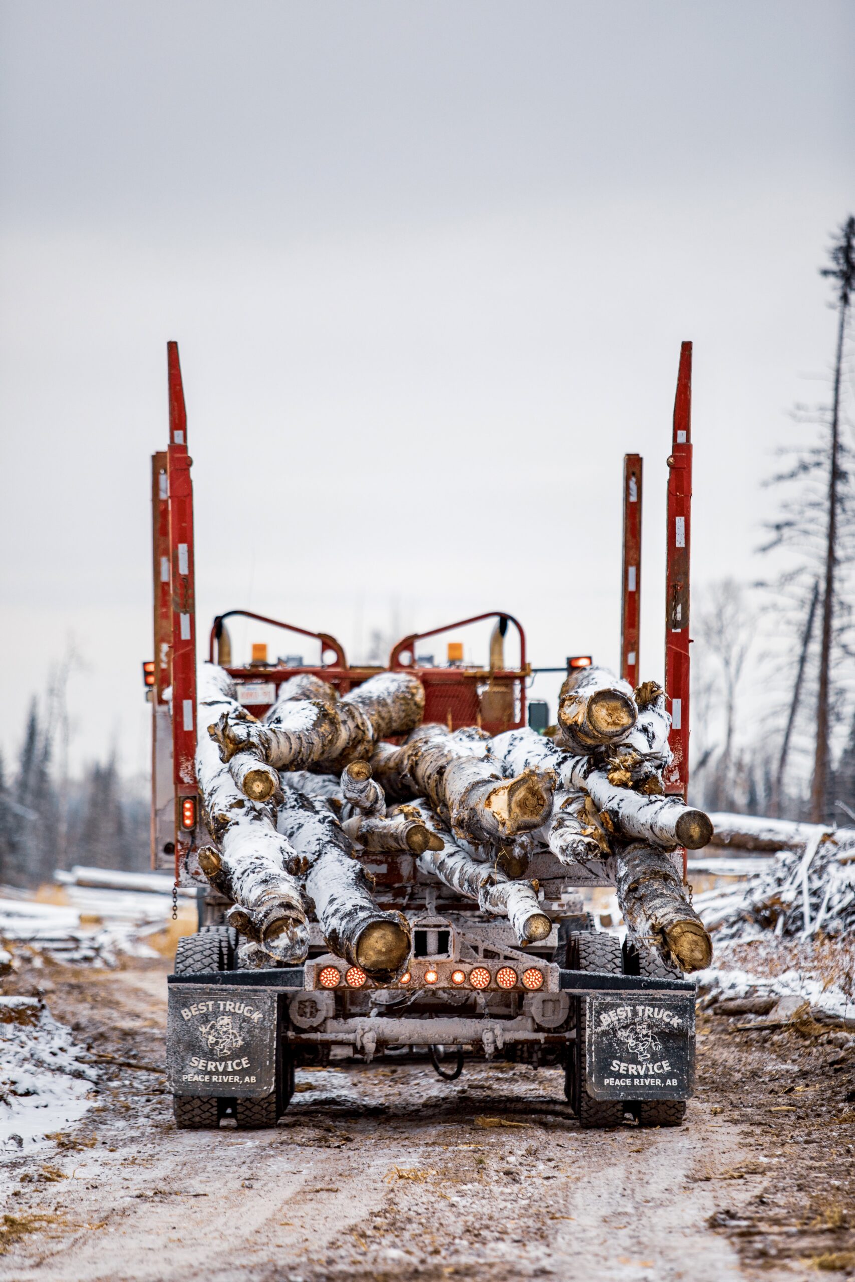Gallery - Northern Timber Management