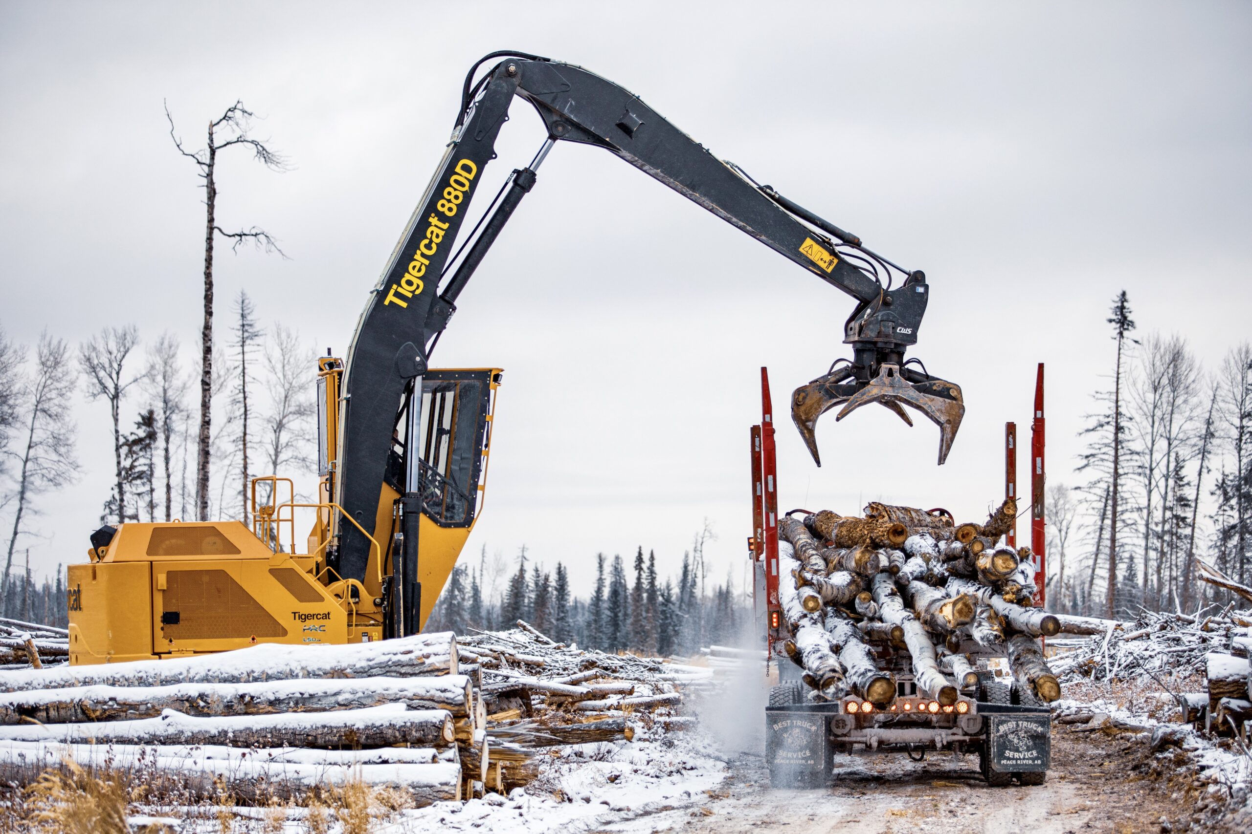 Gallery - Northern Timber Management