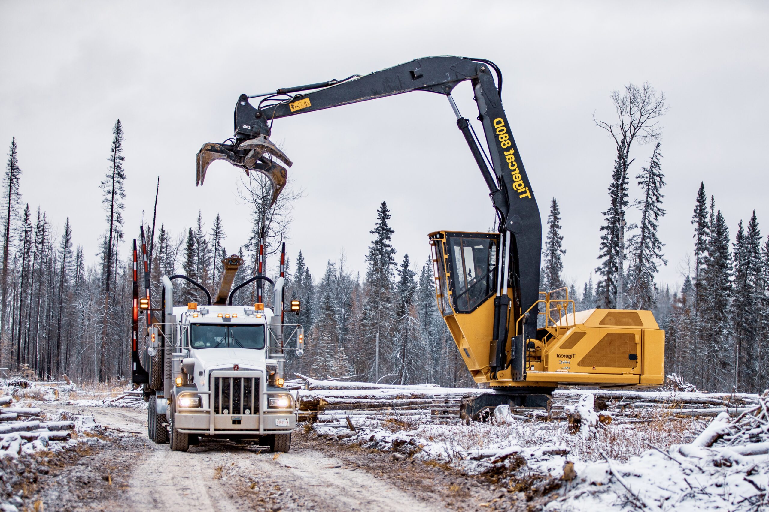 Gallery - Northern Timber Management