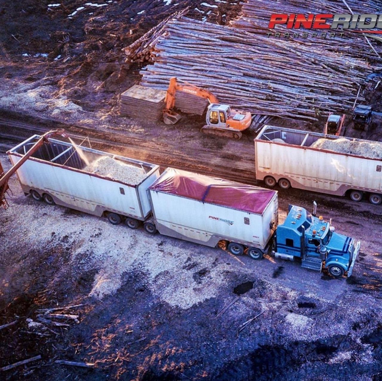 Gallery - Northern Timber Management