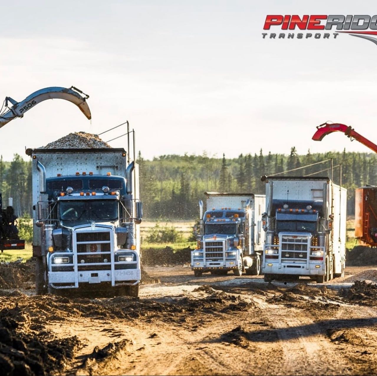 Gallery - Northern Timber Management