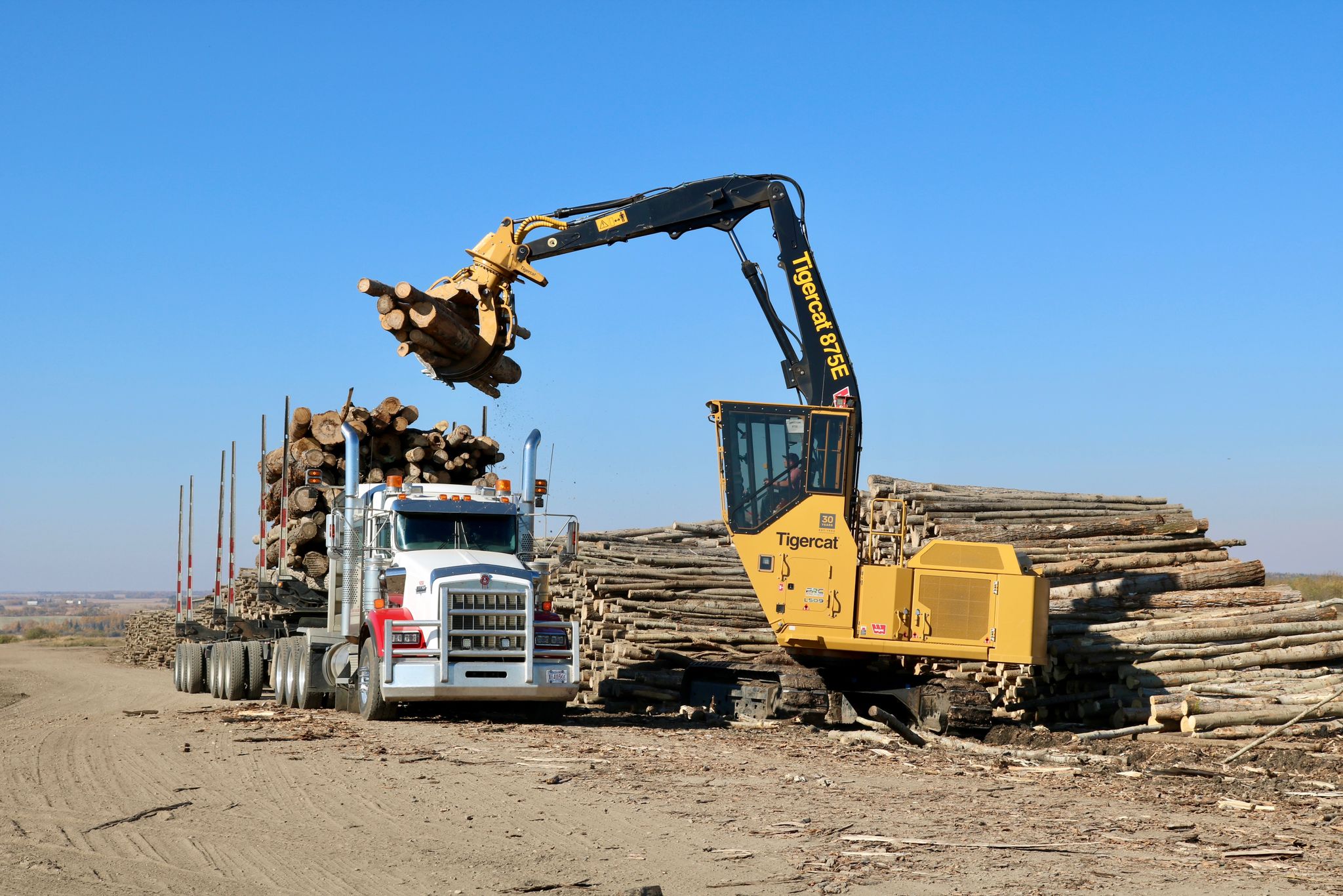 Gallery - Northern Timber Management