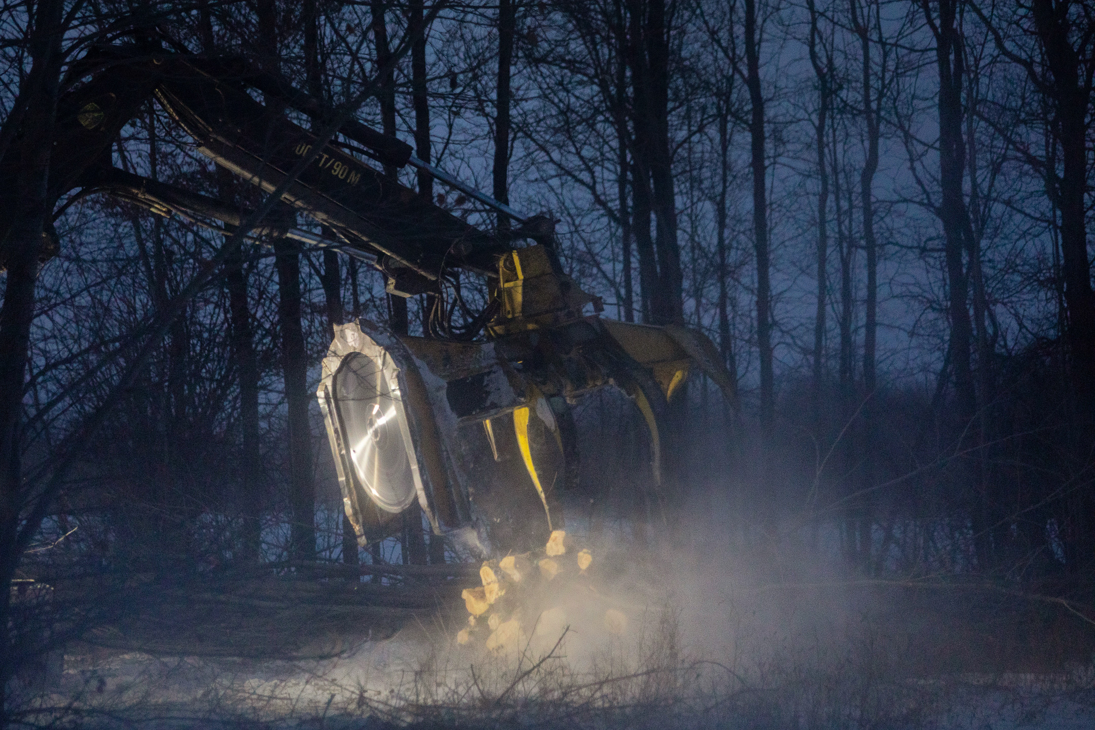 Gallery - Northern Timber Management